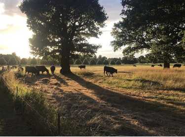 York Homepage - York | Discover the real York.